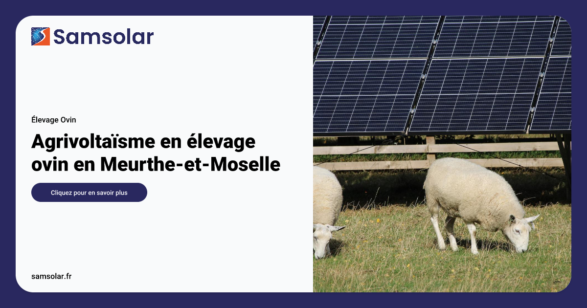 Agrivoltaïsme en élevage ovin en Meurthe-et-Moselle - Samsolar
